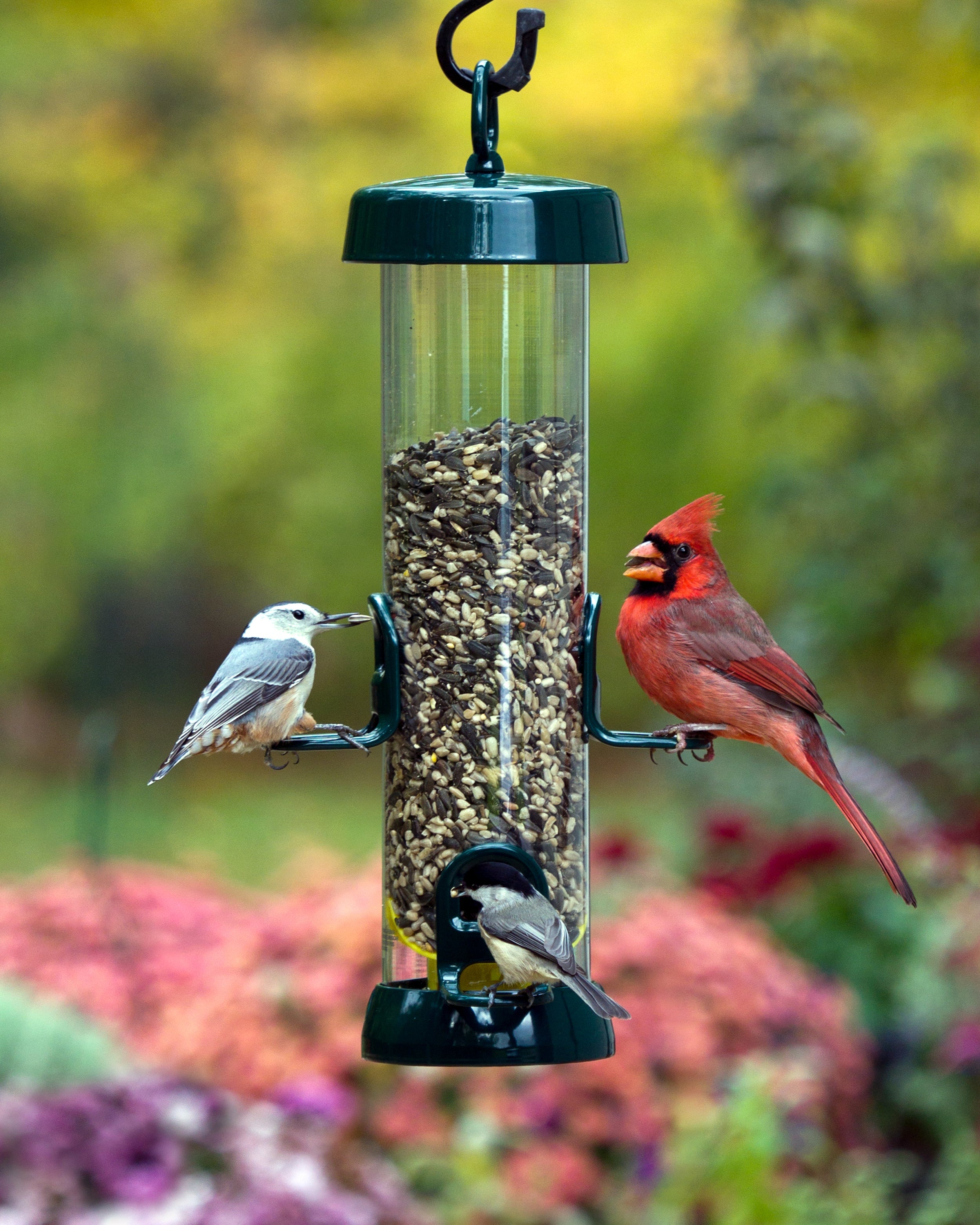 Tube Solution Collection – Brome