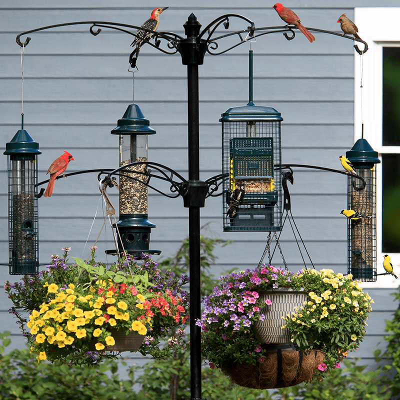 Pole accessories – Brome