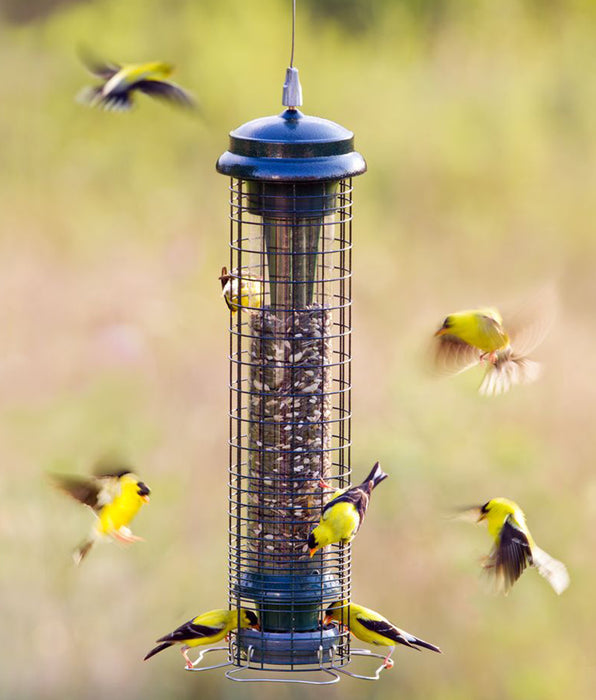 Bird Feeders – Brome