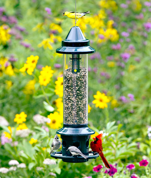 Bird Feeders – Brome