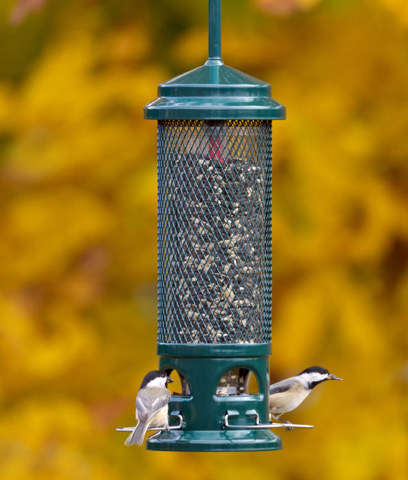 Brome® | Home of the Squirrel Buster® Bird Feeder