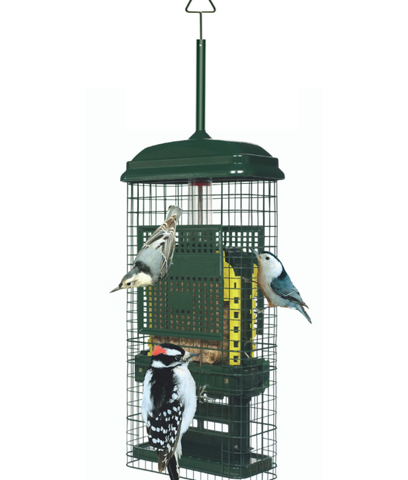 Brome® | Home of the Squirrel Buster® Bird Feeder