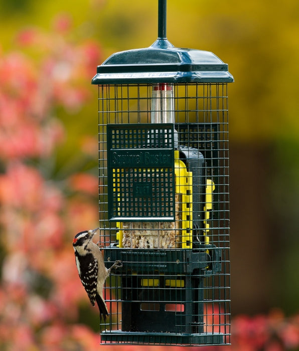 Brome® | Home of the Squirrel Buster® Bird Feeder