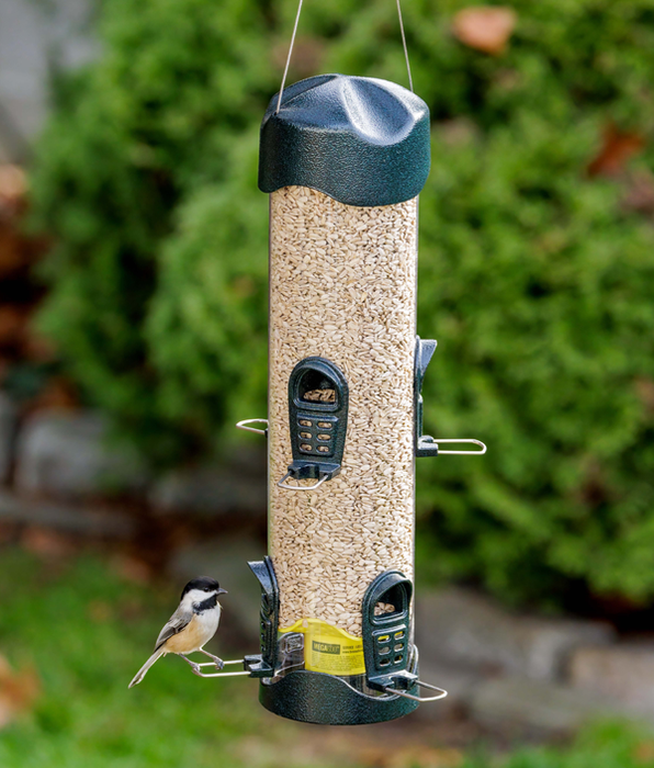 Bird Feeders – Brome