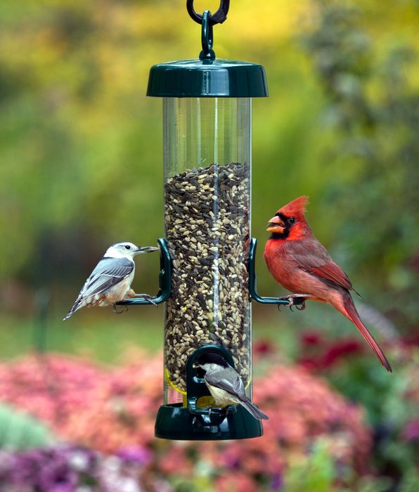 Bird Feeders – Brome