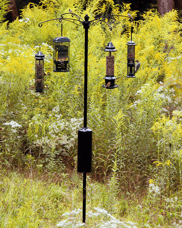 Raccoon Buster® 1.5" Guardian Pole System – Brome