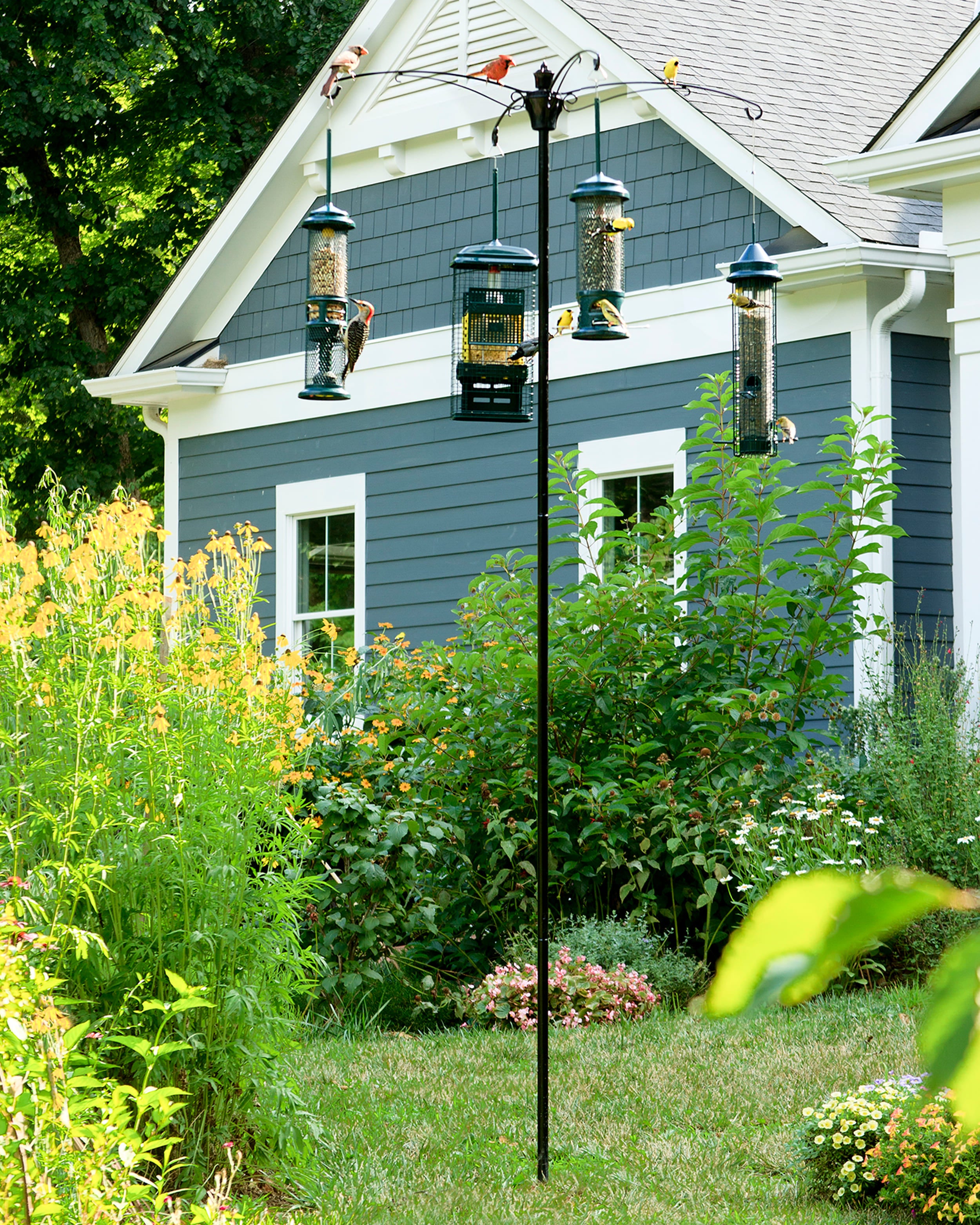 Brome® | Home of the Squirrel Buster® Bird Feeder