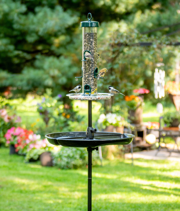 Brome® | Home of the Squirrel Buster® Bird Feeder