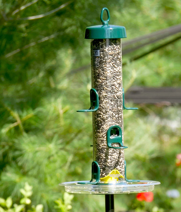 Brome® | Home of the Squirrel Buster® Bird Feeder