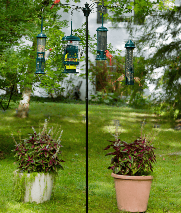 Brome® | Home of the Squirrel Buster® Bird Feeder