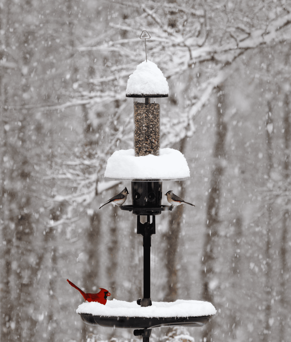Brome® | Home of the Squirrel Buster® Bird Feeder