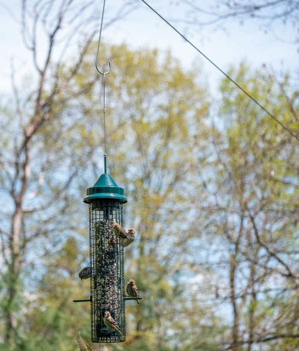Brome® | Home of the Squirrel Buster® Bird Feeder